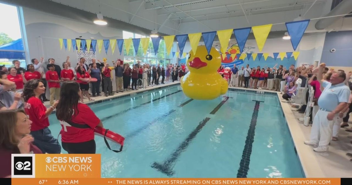 Stewie the Duck Swim School opens in Norwalk - CBS New York