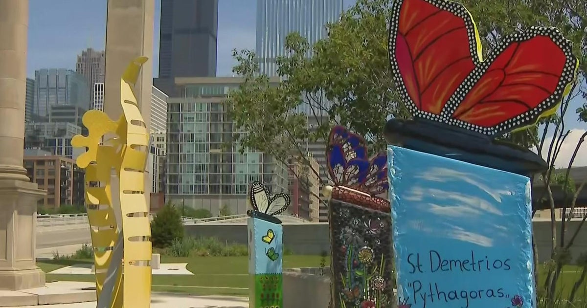 'Dance of the Psyche' butterfly exhibit opening in Greektown - CBS Chicago