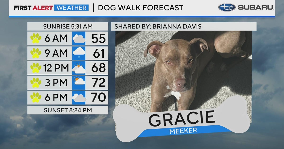 Gracie joins Dog Walk Forecast - CBS Colorado