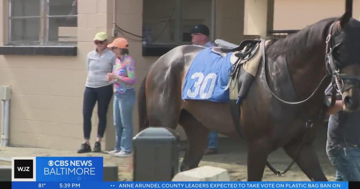 Trainers seek next big racing horse at Fasig-Tipton sale at Timonium ...