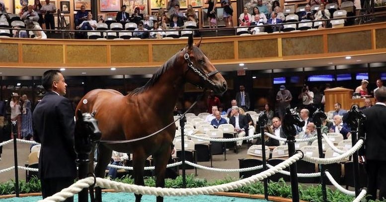Trainers seek next big racing horse at Fasig-Tipton sale at Timonium ...