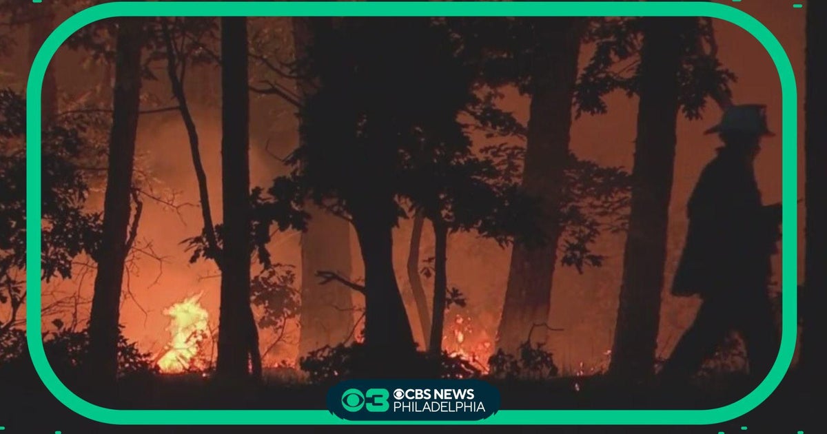 Wildfire in Ocean County burns 50 acres, officials say - CBS Philadelphia