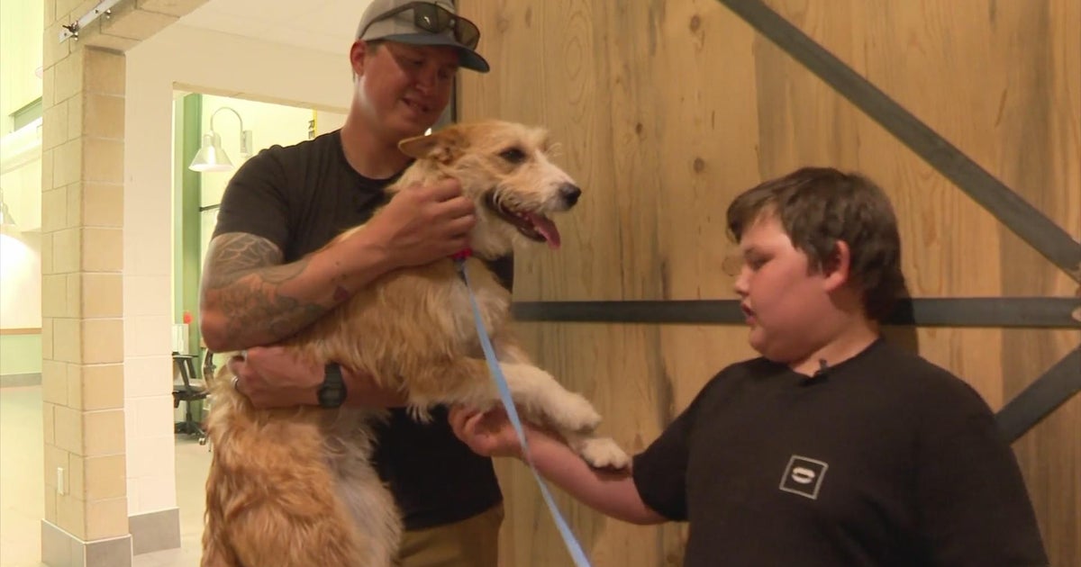 Larimer Humane Society steps up as Humane Society of Weld County ...