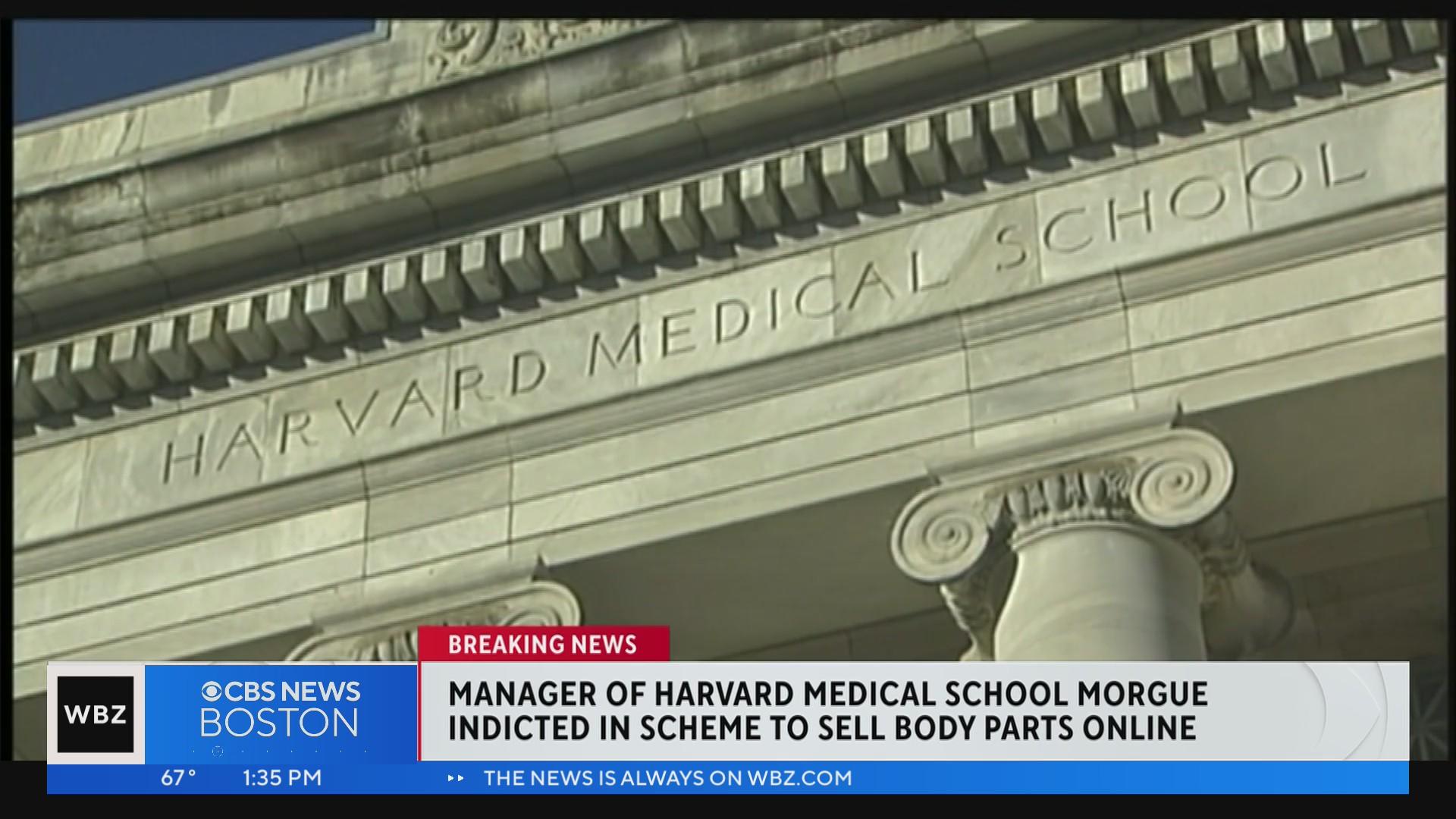 Harvard Medical School Wallpaper
