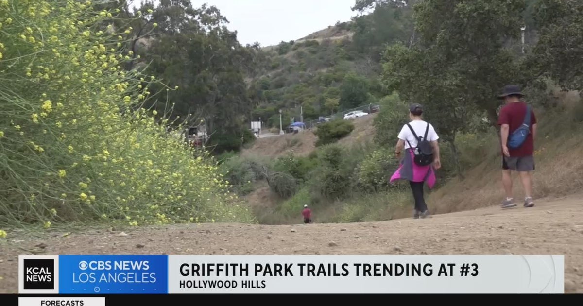Griffith Park Trails one of the most popular in hikes in the nation - CBS Los Angeles