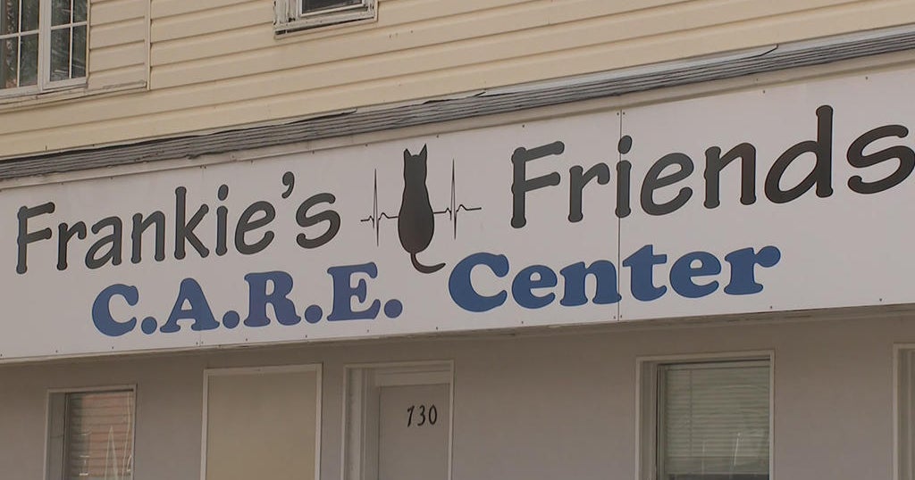 KD Sunday Spotlight: Cats get another chance at life at Frankie's ...