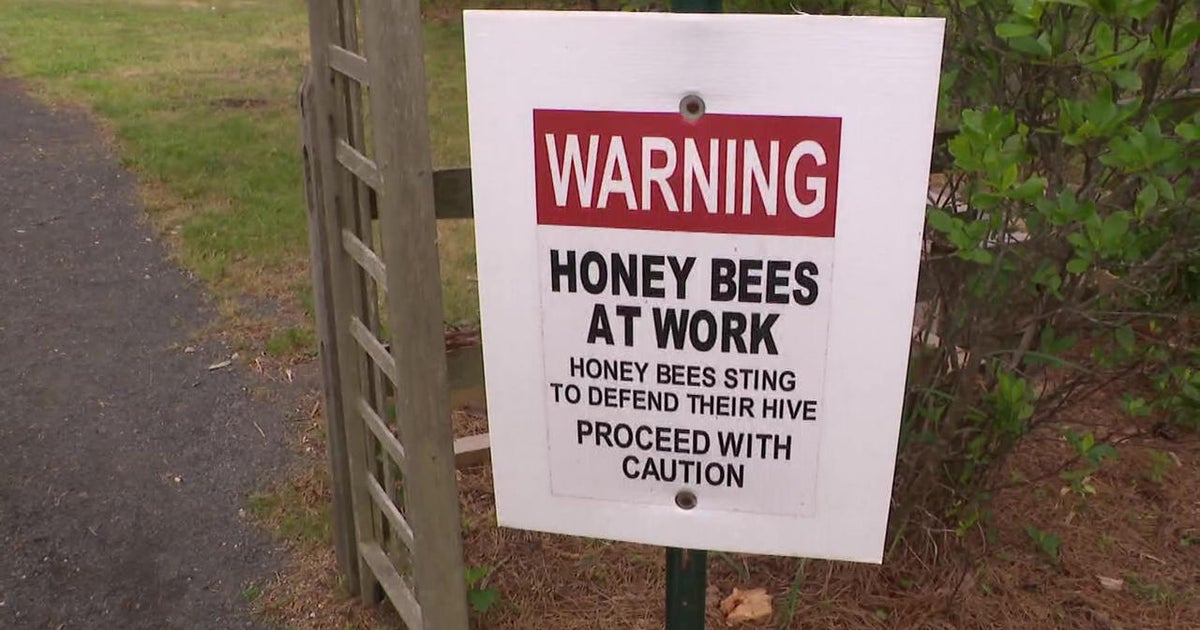 17-year-old Kaitlyn Culbert of Toms River, N.J., honored for protecting ...