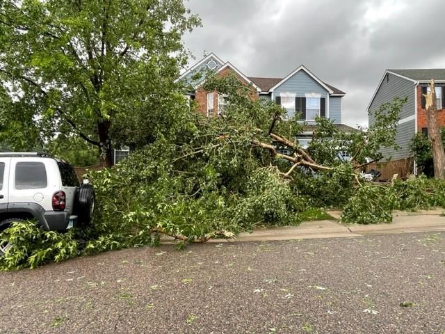 Highlands Ranch tornado damages roofs, fences, trees - CBS Colorado