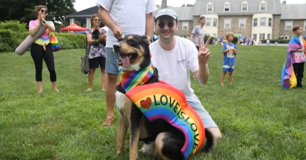 Bucks-Mont PRIDE Fest offers resources and family friendly fun - CBS ...