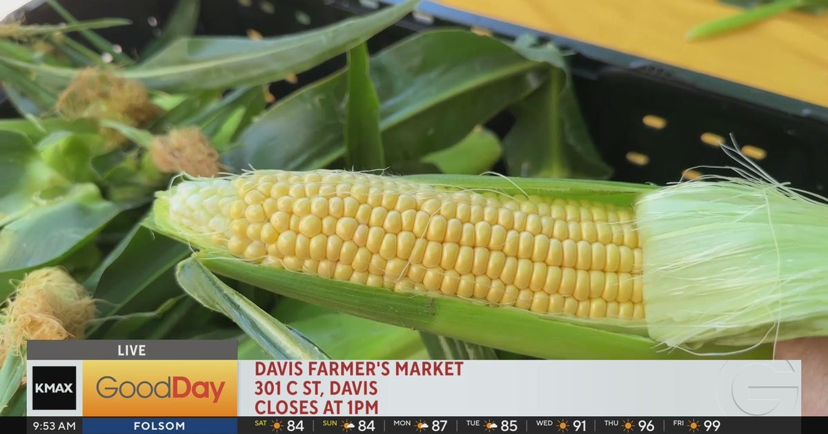 Davis Farmer's Market with Michael Marks - Good Day Sacramento