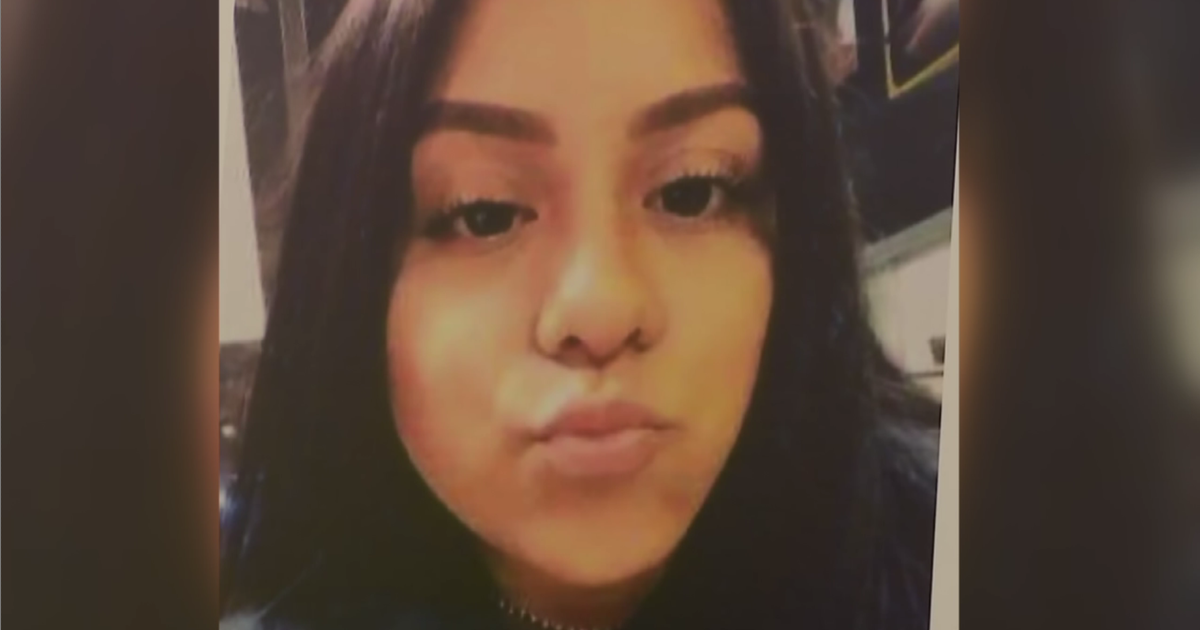 Family demands justice for woman hit, killed by truck on I-55 - CBS Chicago