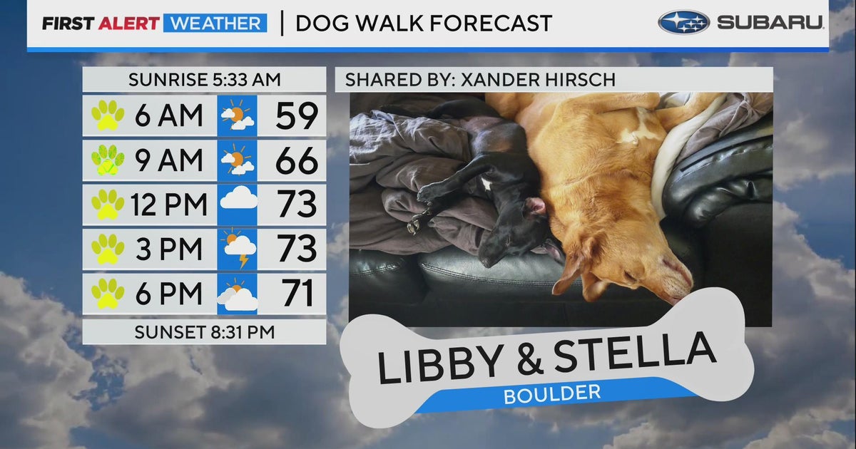 Libby & Stella join Dog Walk Forecast - CBS Colorado