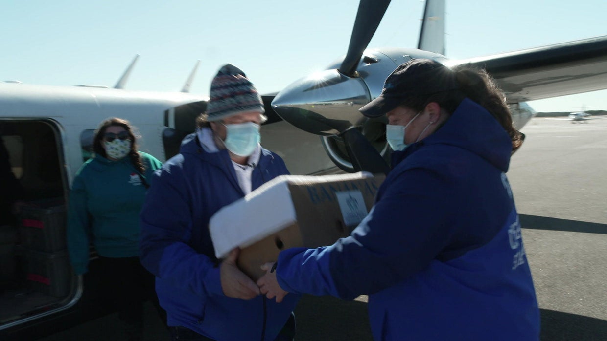 Helping endangered sea turtles, by air - CBS News