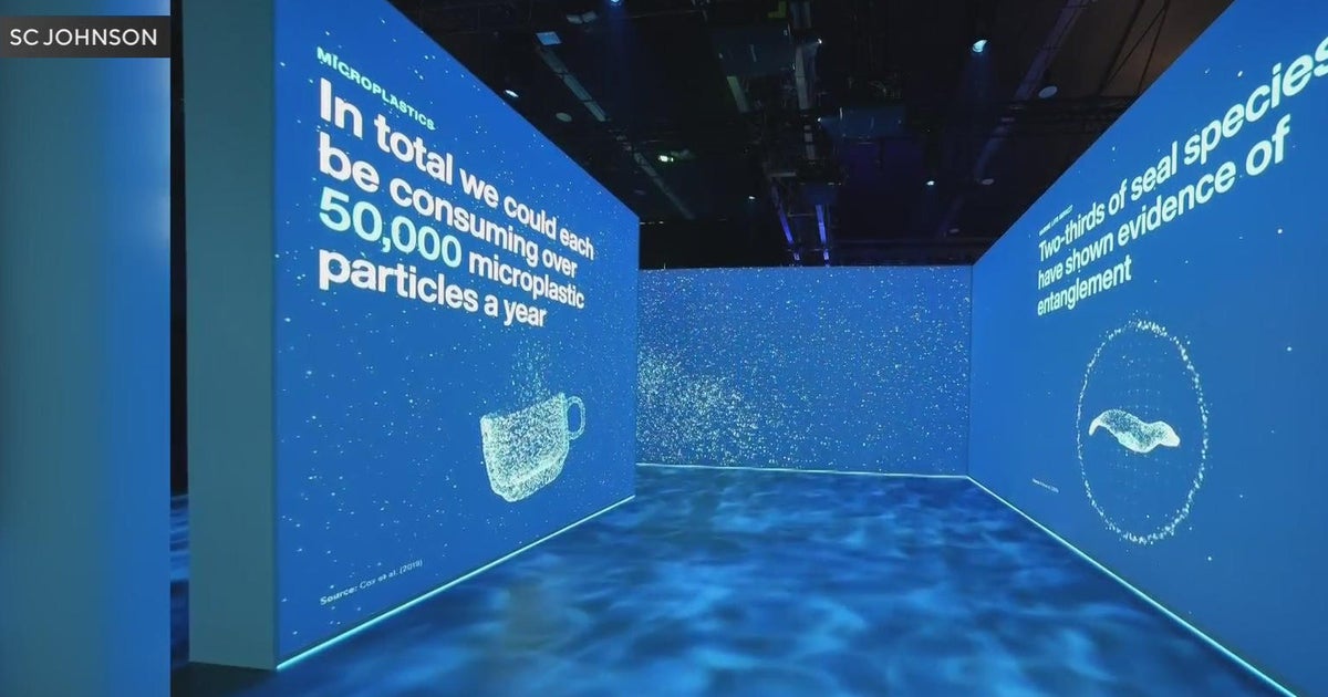 'The Blue Paradox' exhibit at MSI explores dangers of plastic pollution ...