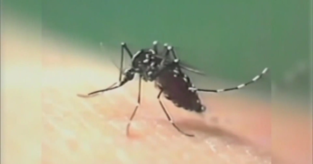 Mosquitoes carrying West Nile Virus are 10 times more prevalent this ...