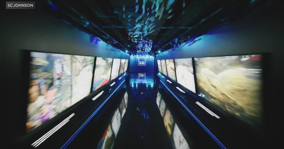 The Blue Paradox: Immersive experience inside the Ocean’s plastic ...