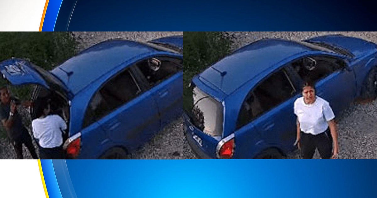 Dallas detectives searching for man, woman who abandoned dog on Dowdy ...