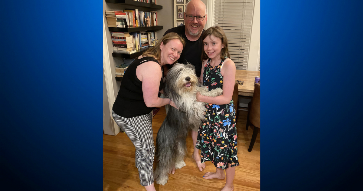 Sunnyvale family reunited with lost dog after extortion attempt – 'We ...