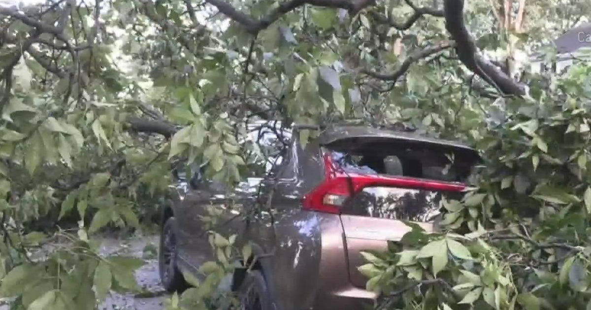 Tornado rips through Elgin homes, causes massive damage - CBS Chicago
