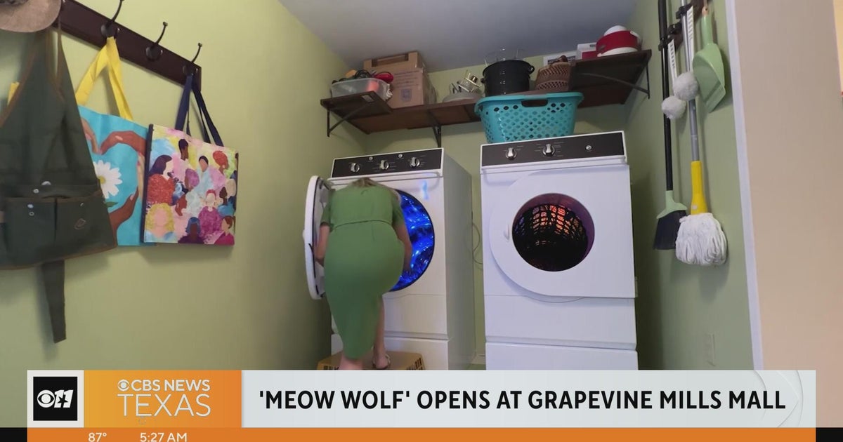 Meow Wolf opens at Grapevine Mills Mall - CBS Texas