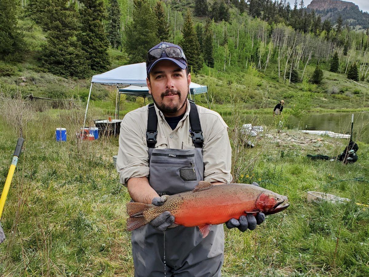 Colorado wildlife managers plan to kill off existing fish, restock lake ...