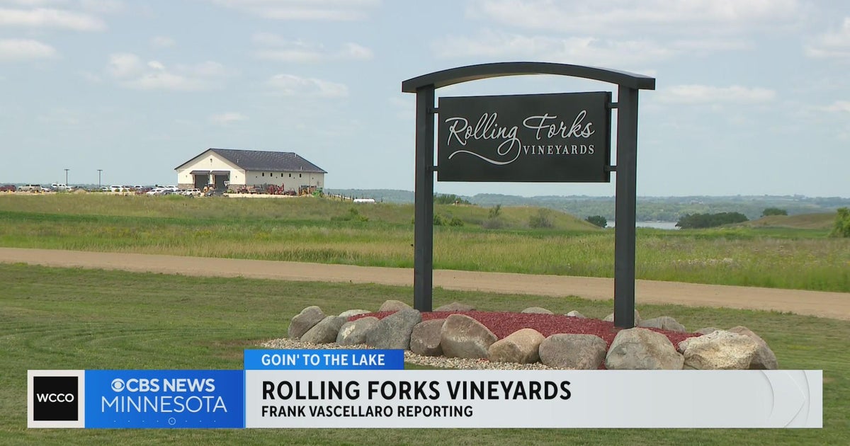 Beautiful views at Rolling Forks Vineyard in Glenwood - CBS Minnesota