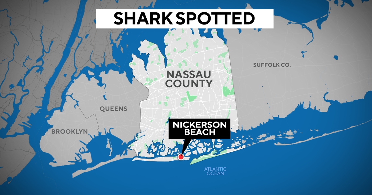 Shark spotted at Nickerson Beach on Long Island - CBS New York