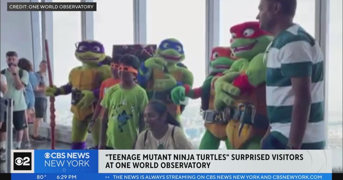 Teenage Mutant Ninja Turtles surprise visitors at One World Observatory ...