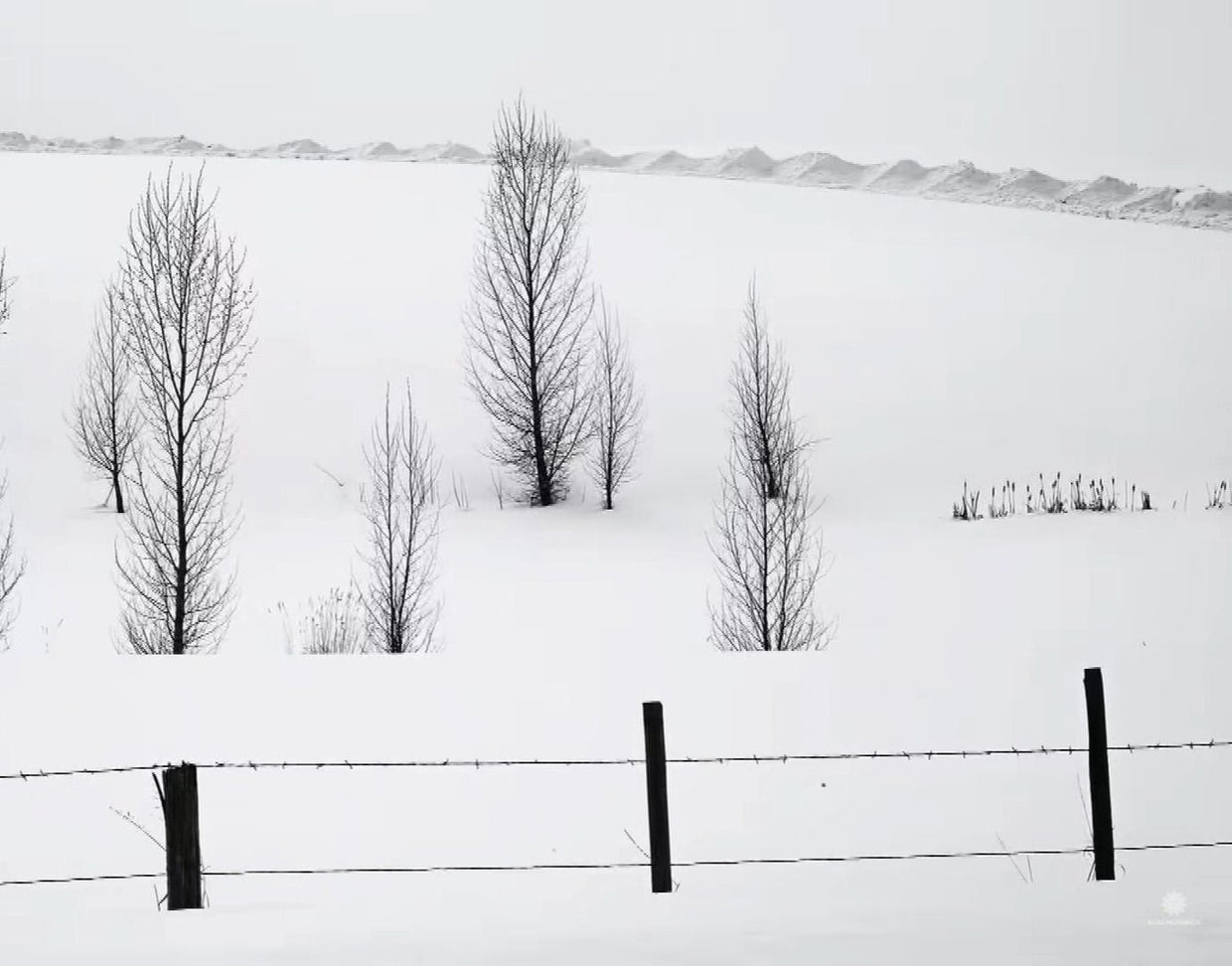 Photographer John Fielder shares his life's work with History Colorado ...