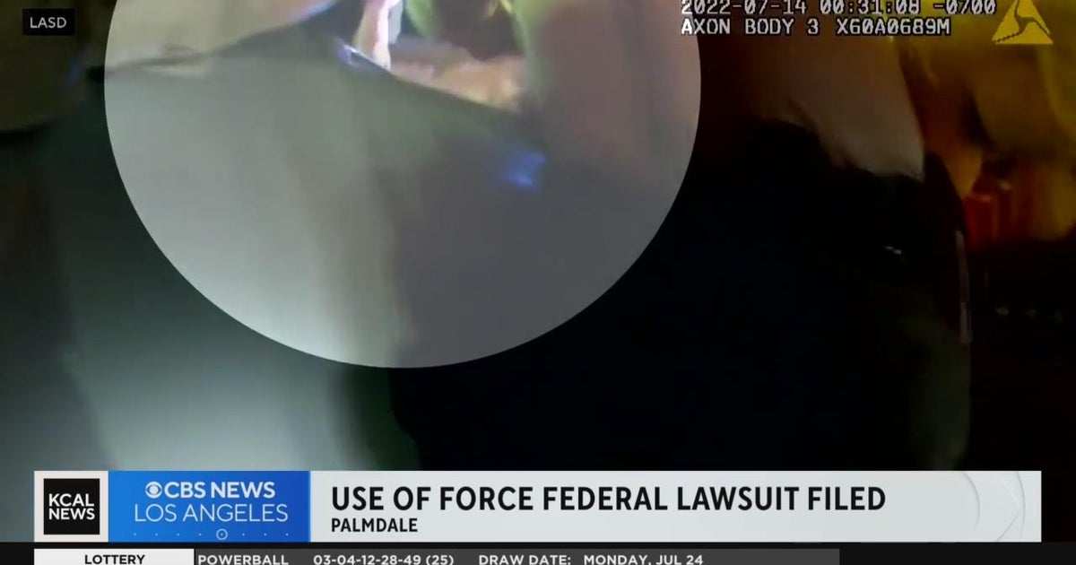 Lawsuit filed against LASD by woman who was punched while holding baby ...