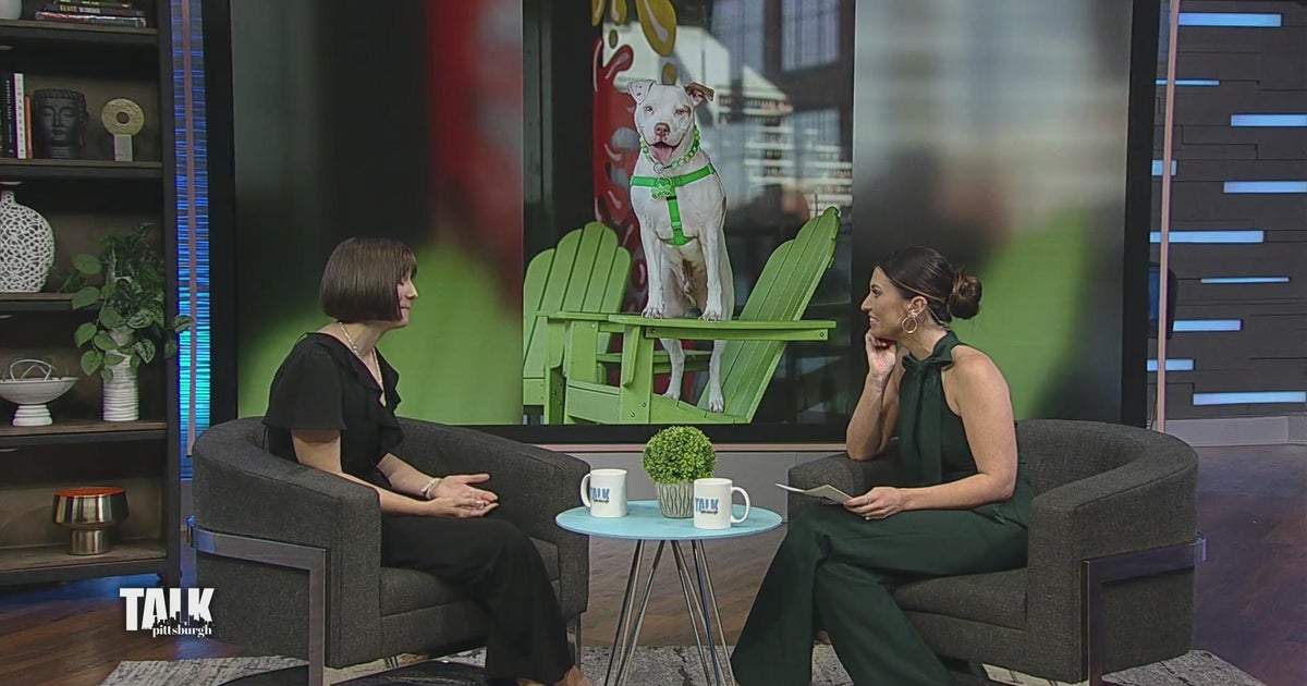 Putting our paws up for National Dog Photography Day - CBS Pittsburgh