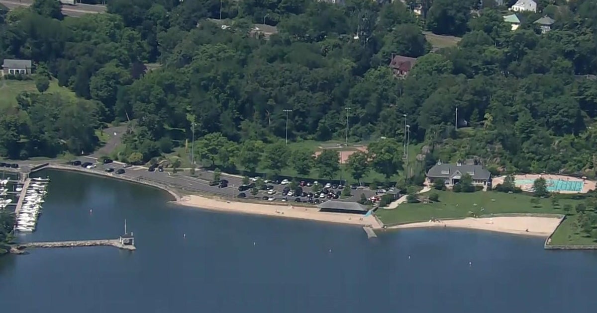 Greenwich beaches see uptick in cases of swimmer's itch, caused by ...