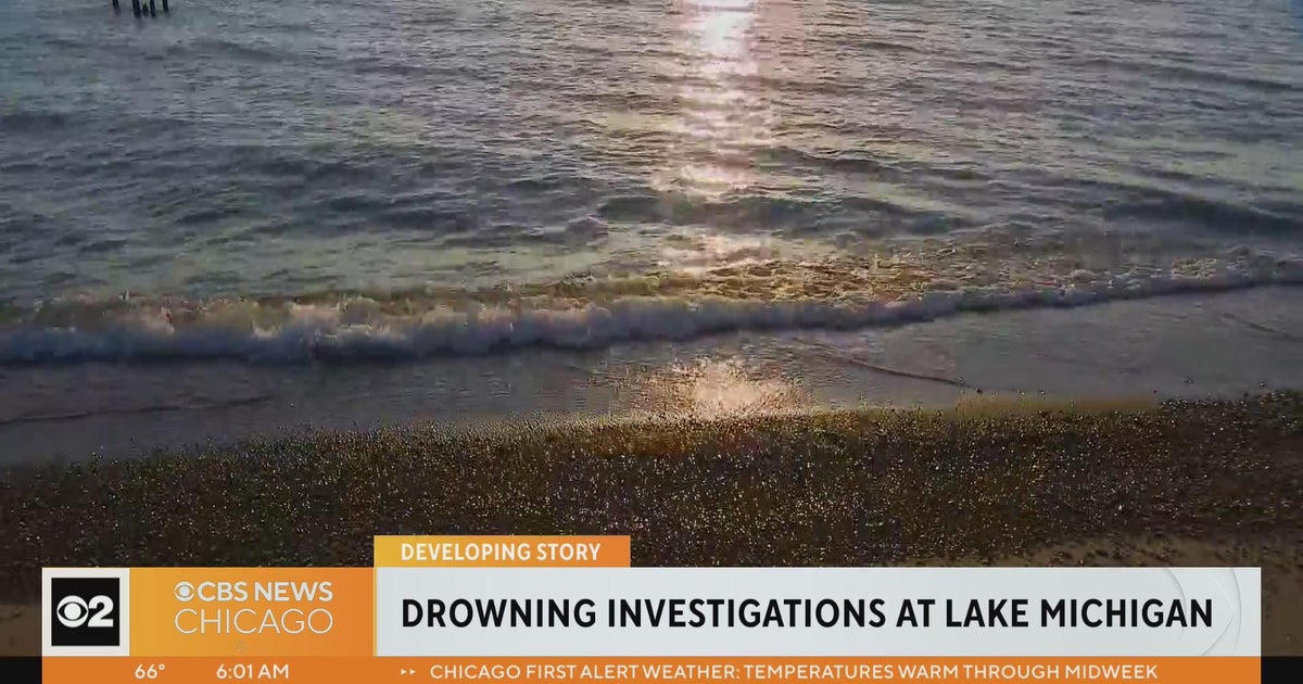 'I ran in and started swimming:' Woman tells CBS 2 she tried to save ...