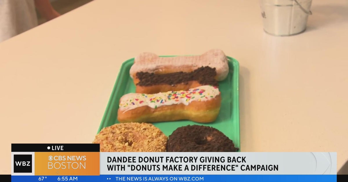 Dandee Donuts in Revere selling dog bone shaped donuts to help MSPCA ...