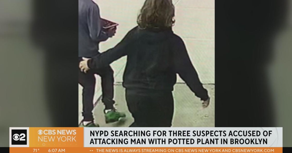 Police: Man attacked with potted plant - CBS New York