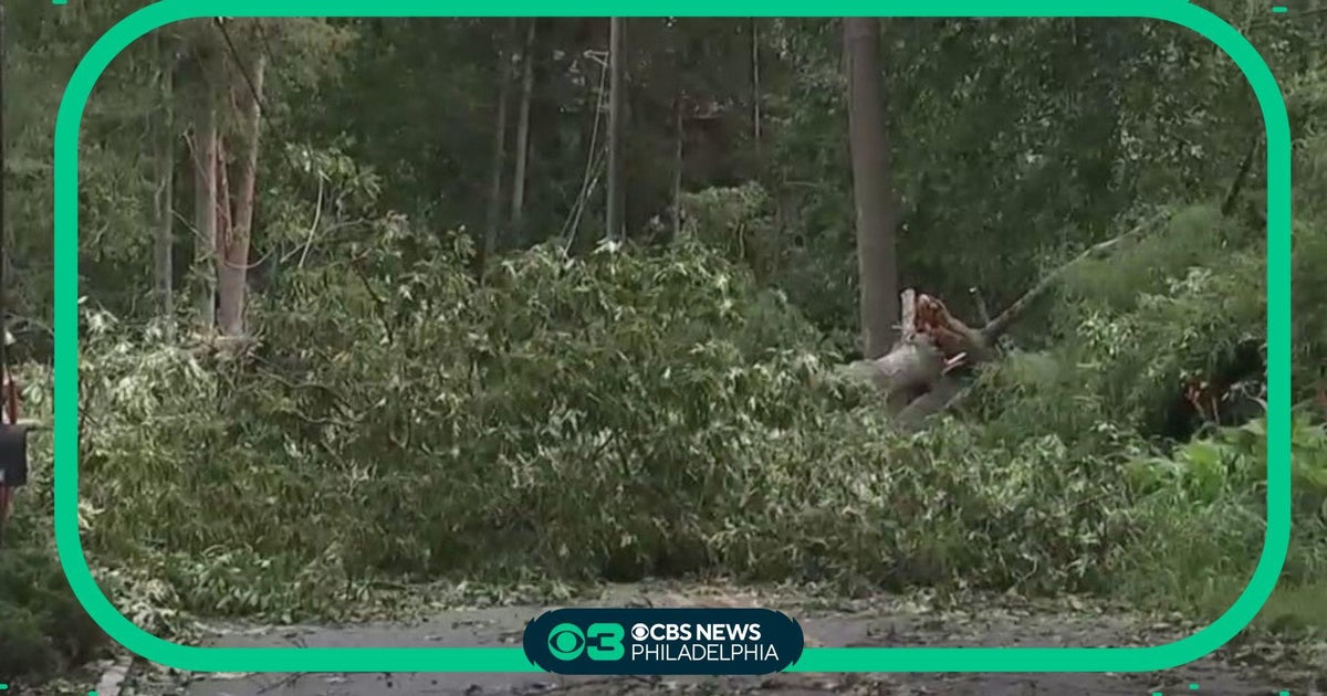 Storm damage widespread across Delaware County as crews work on clean ...