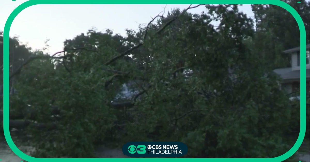 Trees, downed wires spotted all across Newark after storm damage - CBS ...