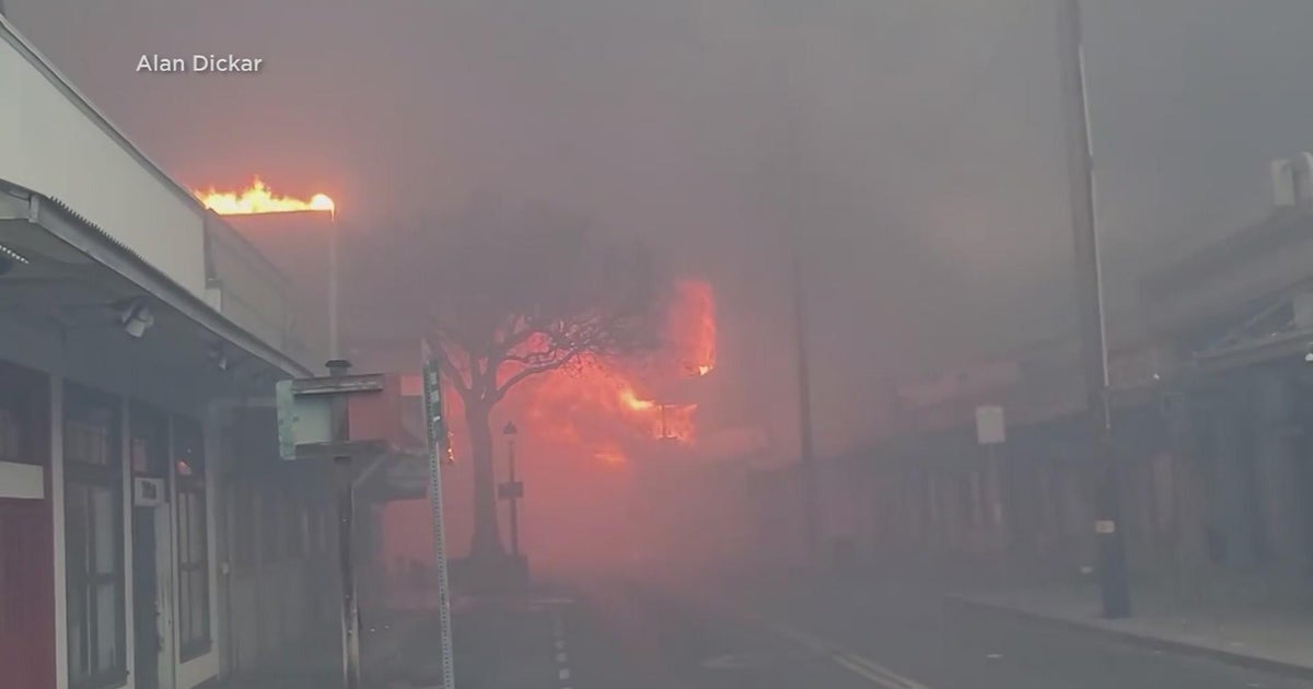 Coloradans remember time spent living in Lahaina before fires destroyed ...
