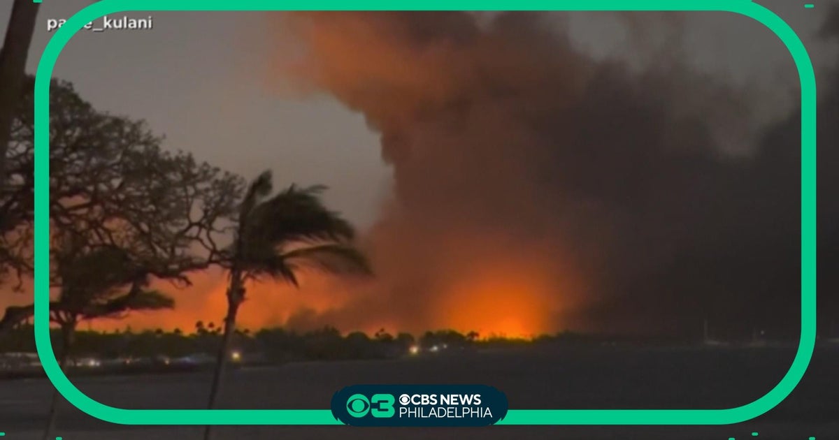 Pa. Task Force One sends 2 members to help Hawaii firefighters in Maui ...