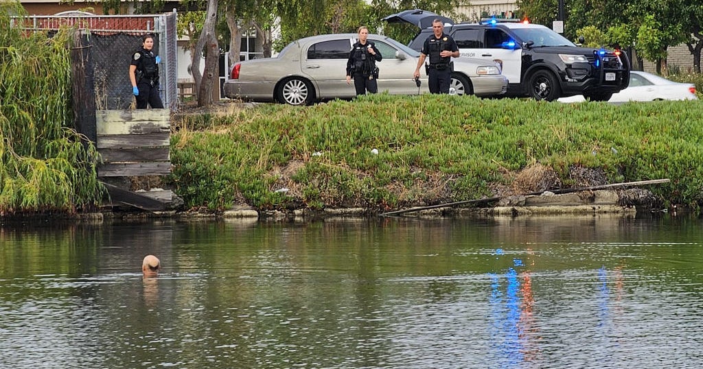 Suspect in San Mateo robbery, attempted burglary arrested after leaping ... Suspect in San Mateo robbery, attempted burglary arrested after leaping ...