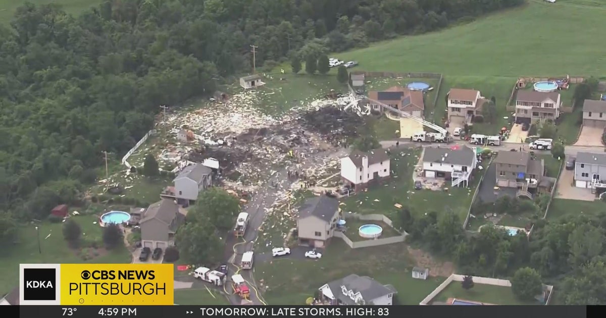 Expert explains what happens next during investigation into Plum house ...