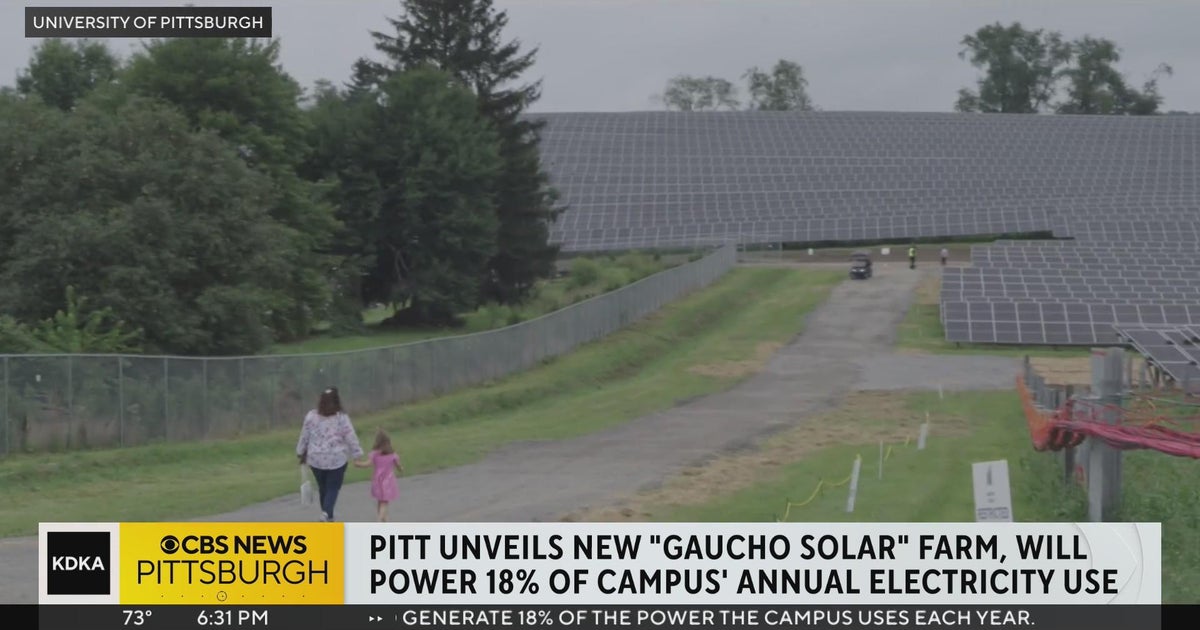 Solar field to generate 18% of Pitt's campus power - CBS Pittsburgh