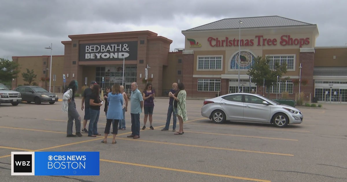 Former Christmas Tree Shops employees say company owes them final ...