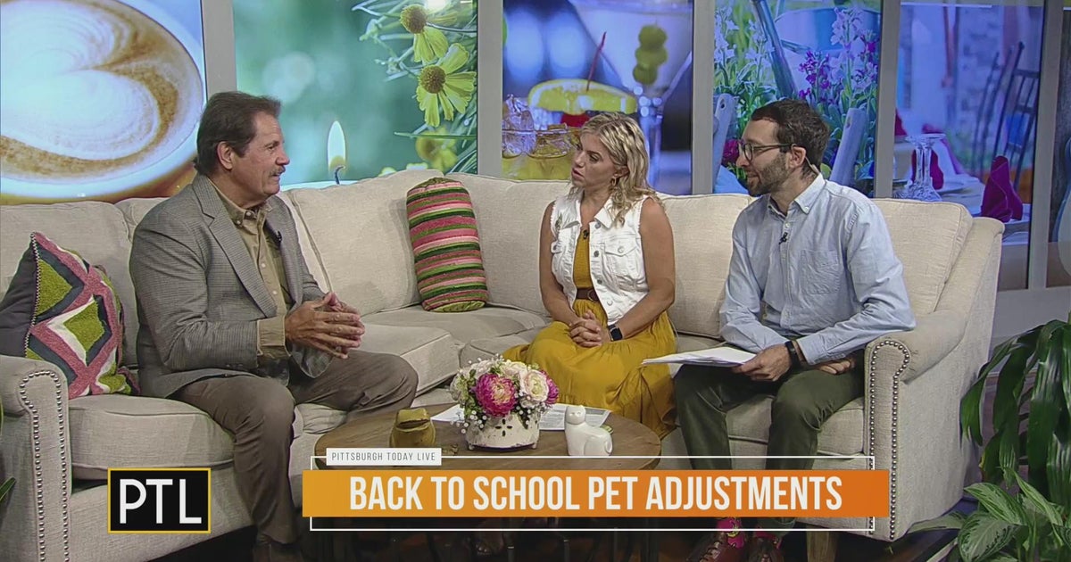 Ask Dr. Mike: Pets and back to school time - CBS Pittsburgh