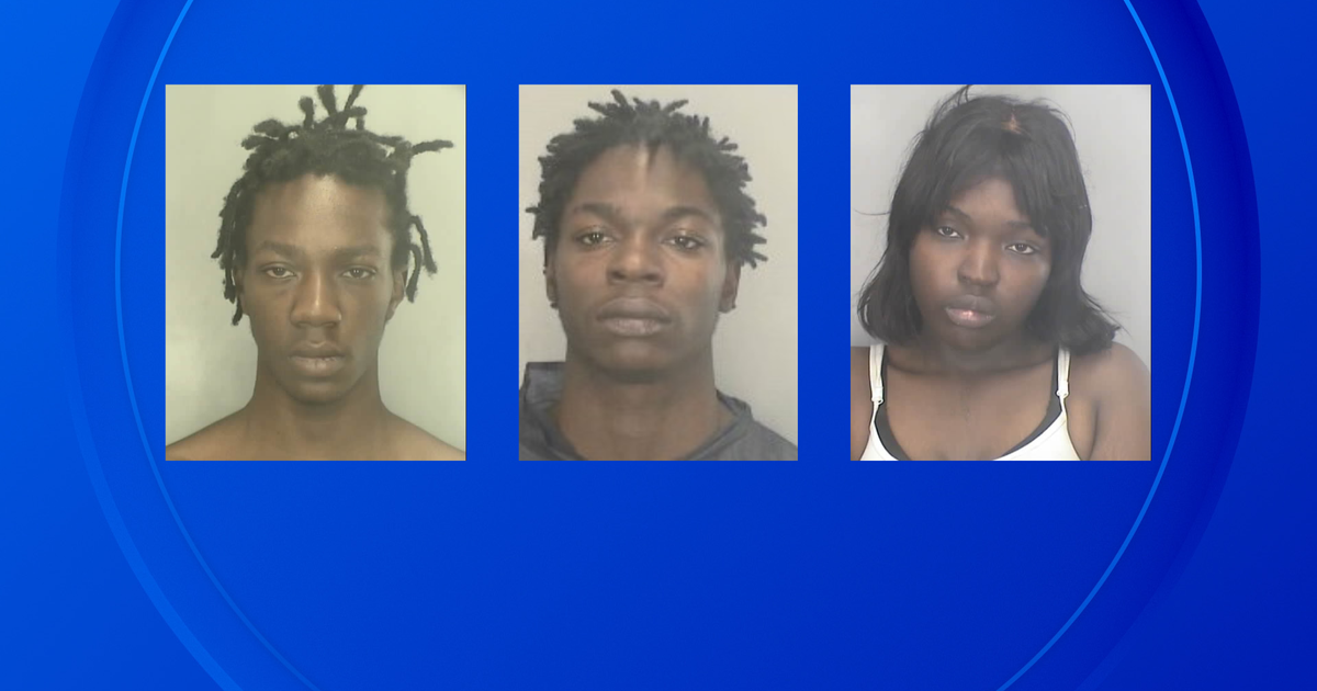 Three charged in kidnapping of 14-day-old twin boys in Livonia - CBS ...