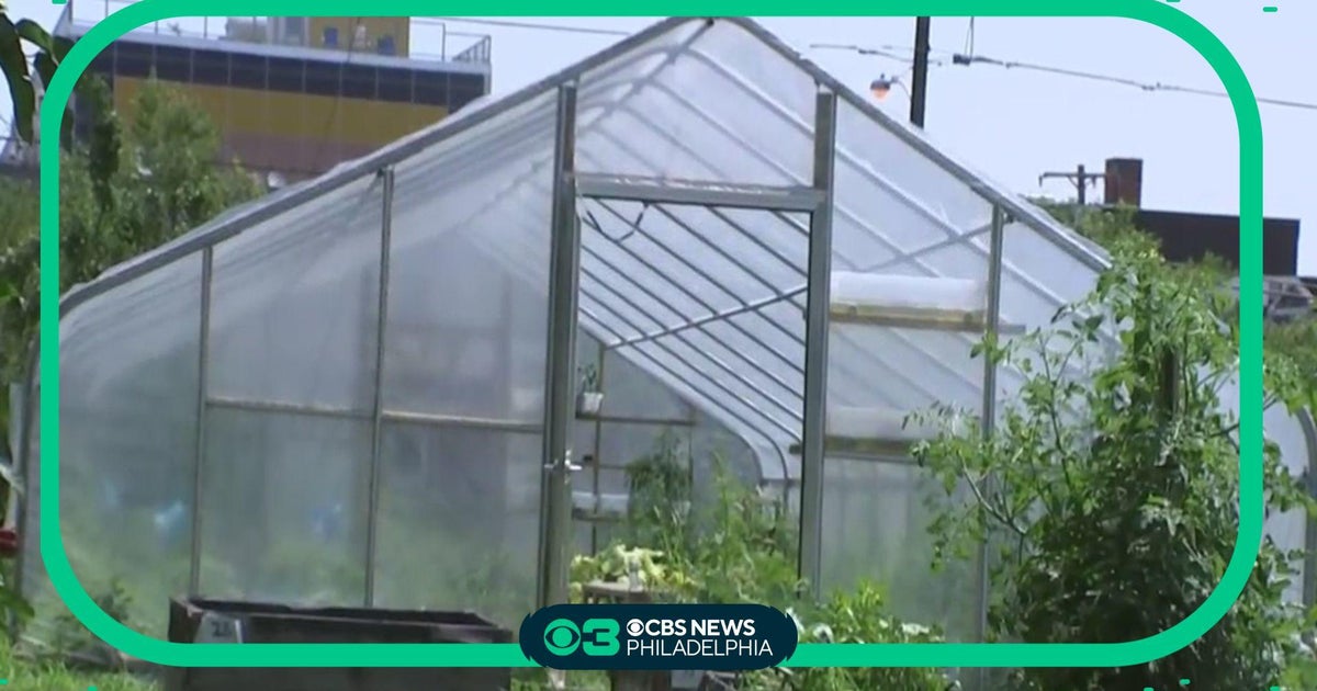 West Philadelphia urban farm provides fresh produce, community ...