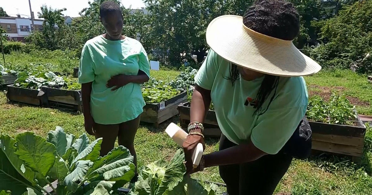West Philadelphia urban farm provides fresh produce, community ...