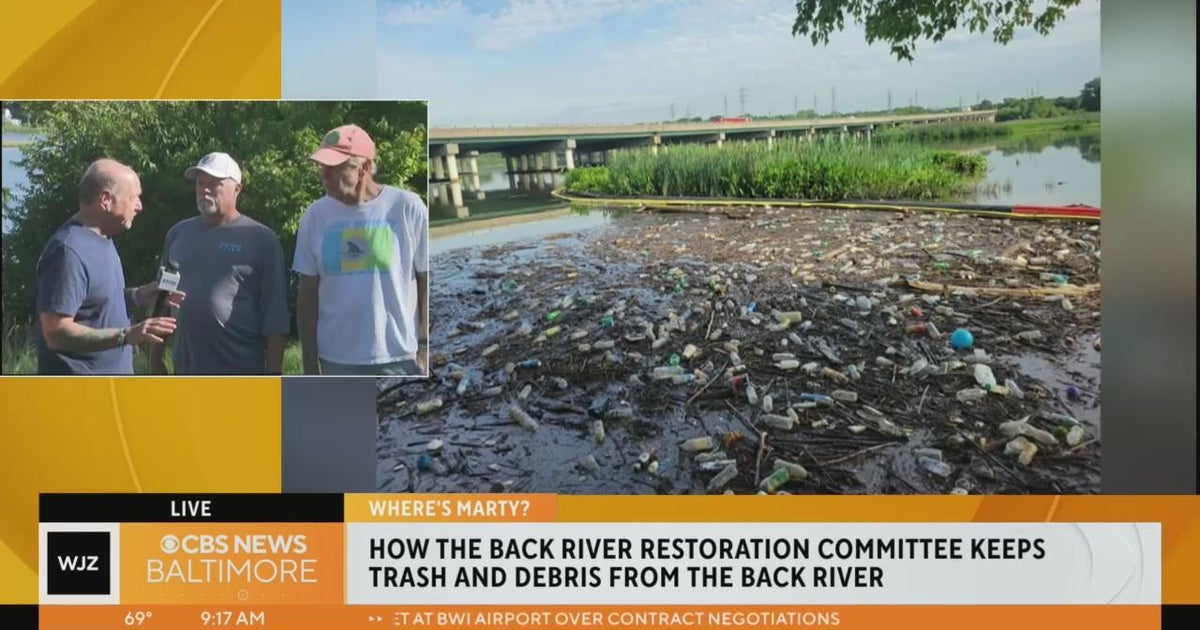 Where's Marty? Learning more about the work the Back River Restoration ...