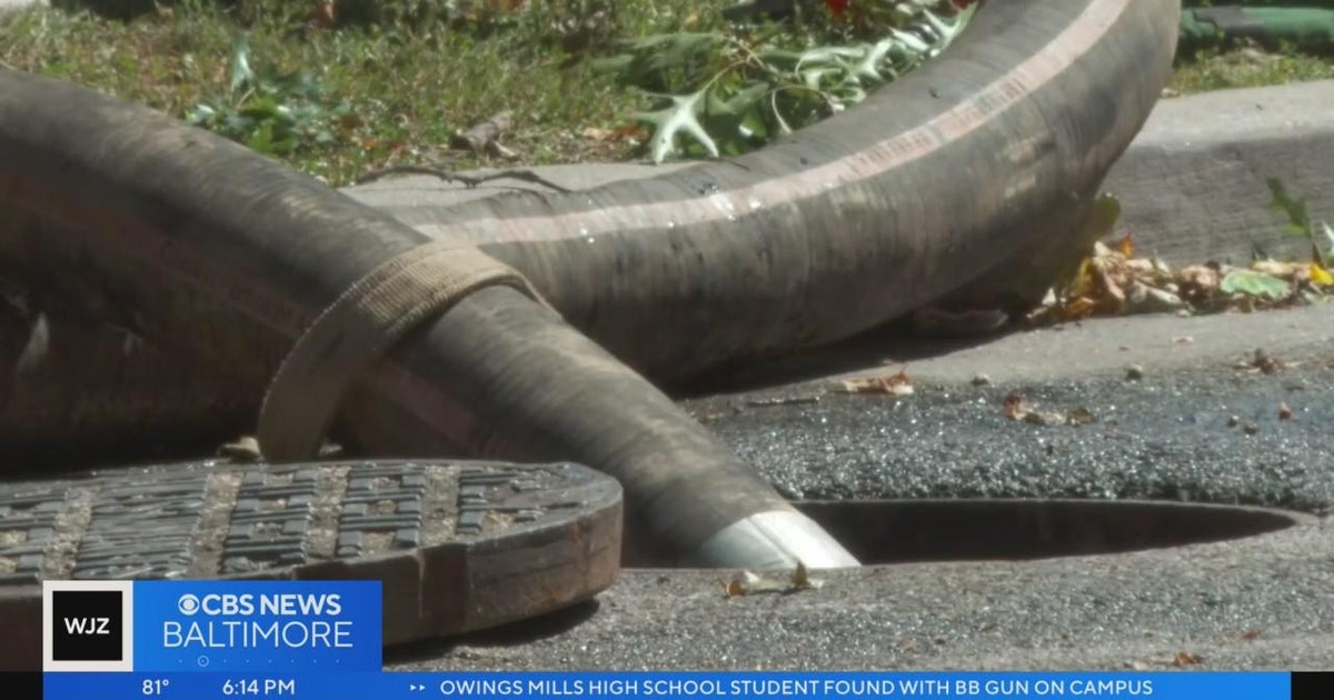 Extremely elevated bacteria levels detected in Spa Creek following ...