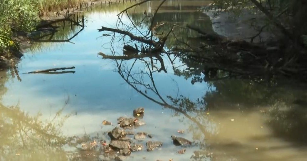 Extremely elevated bacteria levels detected in Spa Creek following ...